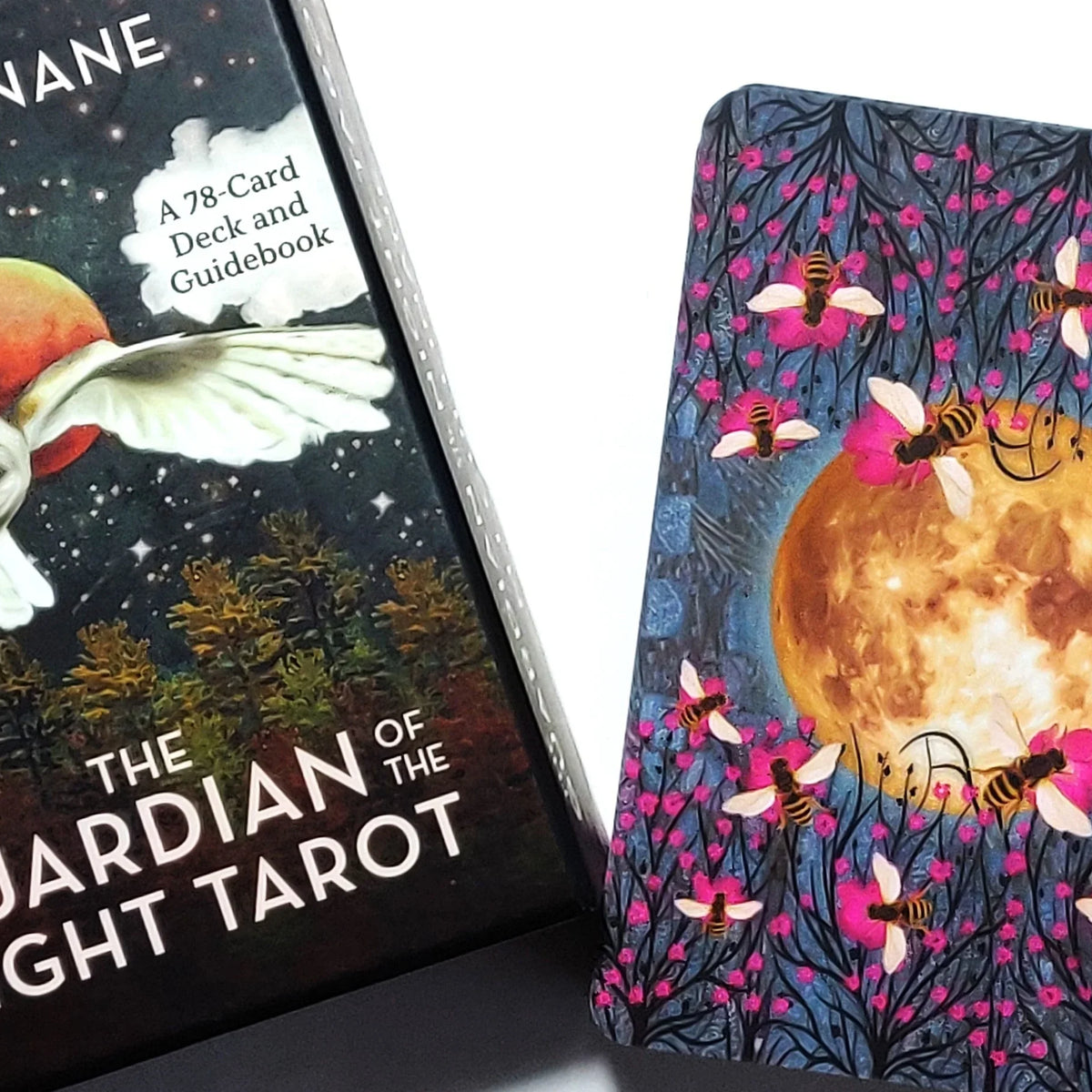 Deck Review: Guardian of the Night Tarot – Body Mind & Soul Houston