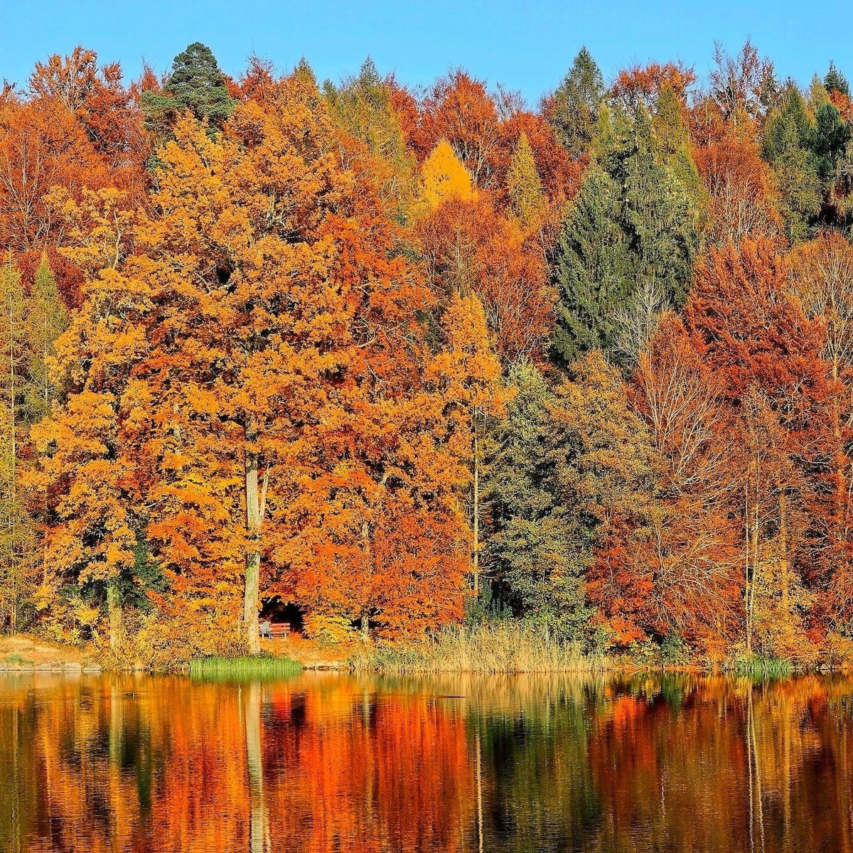 How to Celebrate the Fall Equinox – Body Mind & Soul Houston